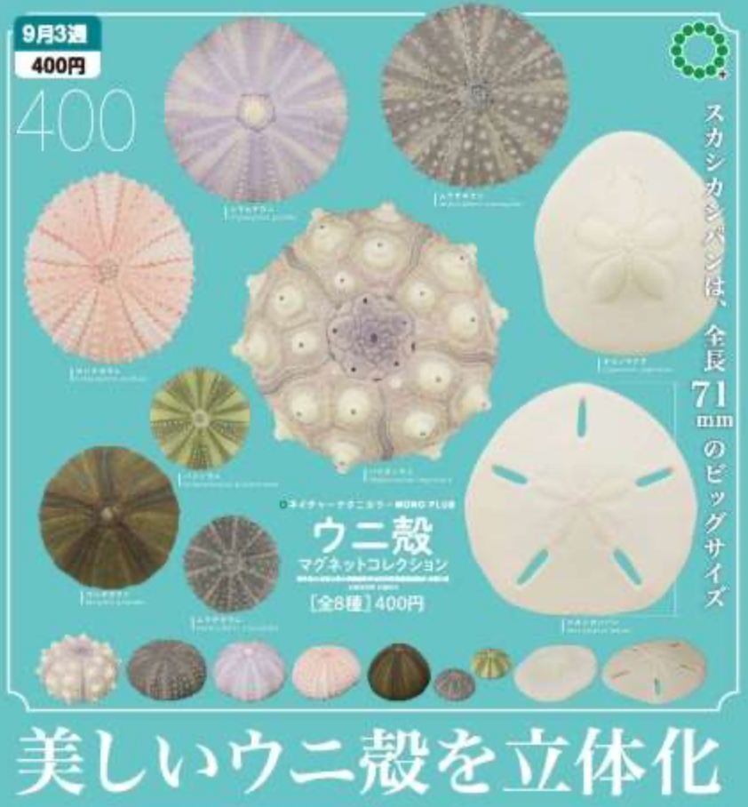 [Pre-Order Jun 25] NTC MONO+ Sea Urchin Shell Magnet Collection – GachaShop